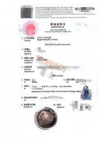 How to Notarize or Apostille Your Degree Certificate in China | True Words